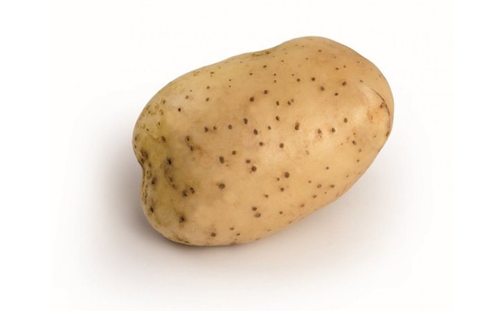 Melody Potato Supplier | Potato Seller | Buy Potatoes